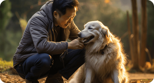 RC Pet Resort | Where Pets Are Cared, Groomed & Loved