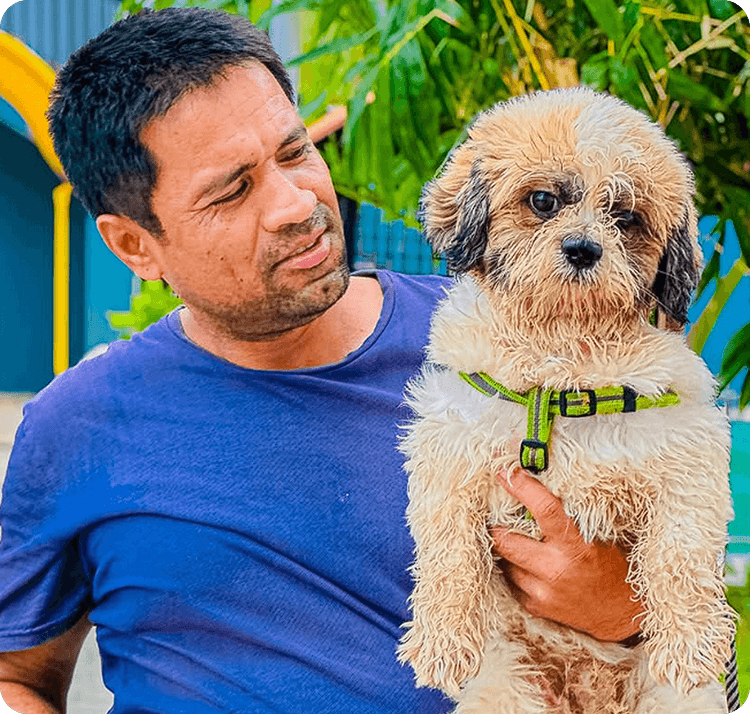 RC Pet Resort | Where Pets Are Cared, Groomed & Loved