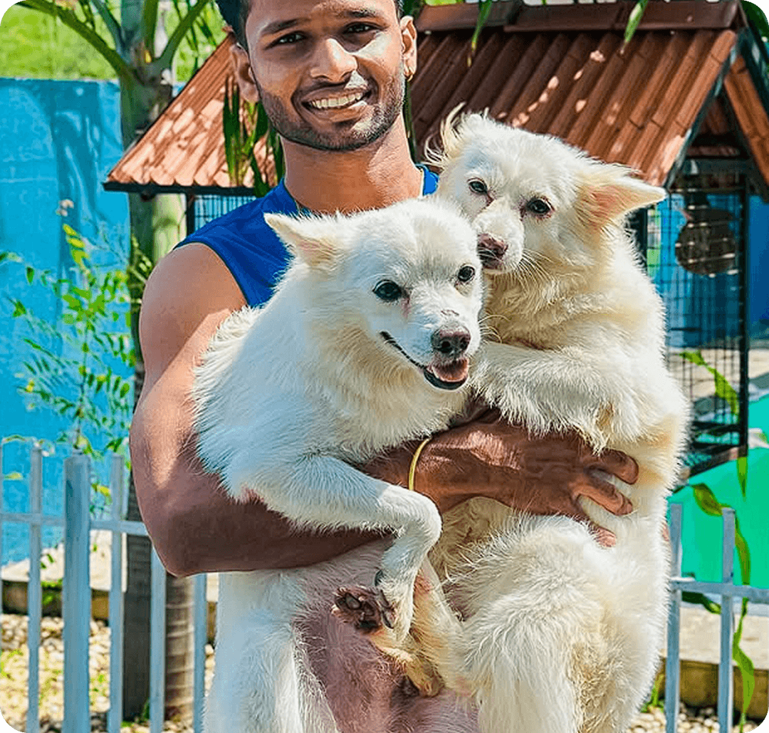 RC Pet Resort | Where Pets Are Cared, Groomed & Loved